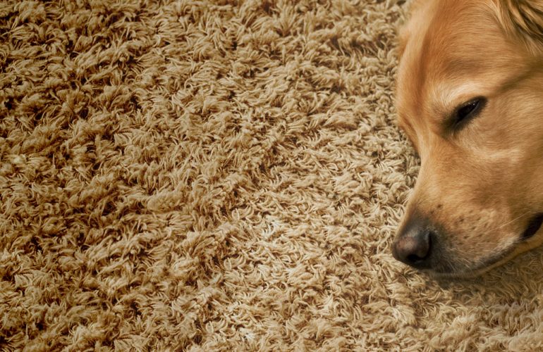 Next Day Flooring UK